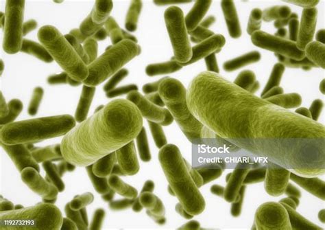 흰색 배경에 박테리아 클로즈업 3d 렌더링 3차원 형태에 대한 스톡 사진 및 기타 이미지 3차원 형태 개념과 주제 건강관리와 의술 Istock