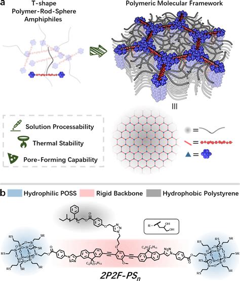 A Schematic Illustration Of Constructing Polymeric Framework Download Scientific Diagram
