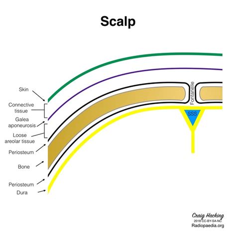 Scalp Popping Is The Gross New Trend And Its Actually Really Dangerous