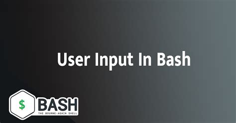 Handling User Input In Bash