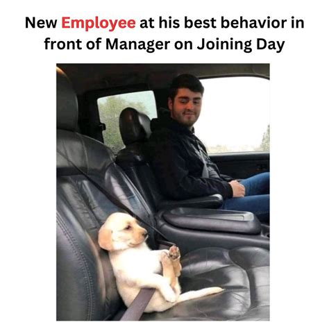 Rajni Yadav On Linkedin 😂