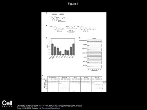 Volume 18 Issue 9 Pages September 2011 Ppt Download