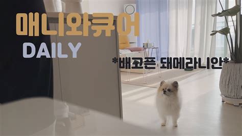 밥을 먹어도 배가 자꾸 고파요 Youtube