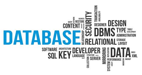 top 10 database programming languages