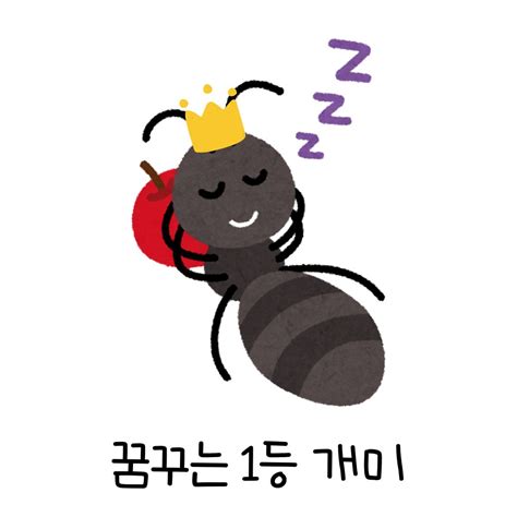 성공적인 투자를 이끄는 주식 포트폴리오 구성 전략 분산투자 목표설정 자산배분