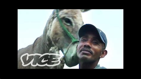 Donkey Fucking The Most Bizarre Tradition Hot Sex Picture