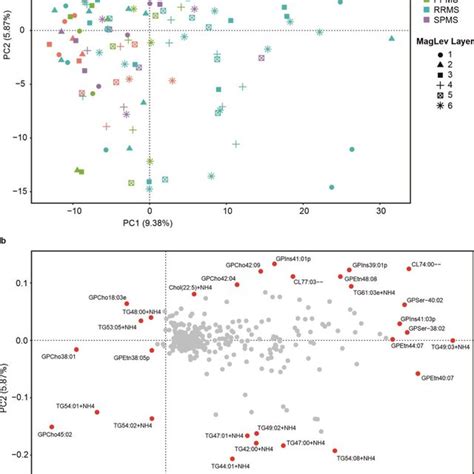 Exploration Of The Lipidomics Data Of Maglev Layers For Ms Vs Healthy