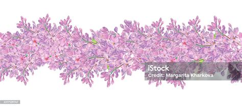 라일락 수채화 꽃 가지 흰색에 격리된 복사 공간이 있는 템플릿입니다 봄 Syringa 완벽 한 프레임 테두리 여름의 보라색 꽃 식물 꽃 배경 디자인용 클립아트 개화기에 대한