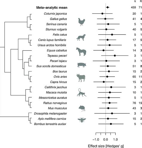 Forest Plot Showing Mean Effect Size Hedges G Estimates From