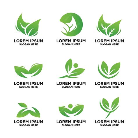 Premium Vector Collection Of Leaf Logo Design Template