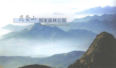 昆嵛山国家森林公园 森林公园 图片