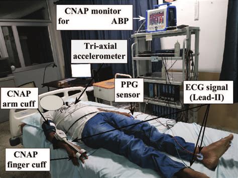 Experimental Setup For Signal Acquisition Download Scientific Diagram