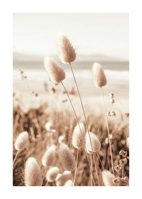 화이트 프레임에 파란색과 베이지색 해변 테마가 어우러진 아름다운 침실용 갤러리월 자연과 추상 디자인이 어우러진 아트 포스터 스토어 한국