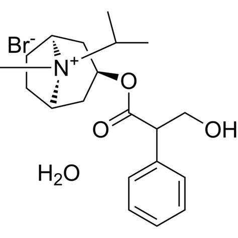 Ipratropium Bromide Hydrate Sch 1000 Bromide Hydrate Machr Antagonist Medchemexpress