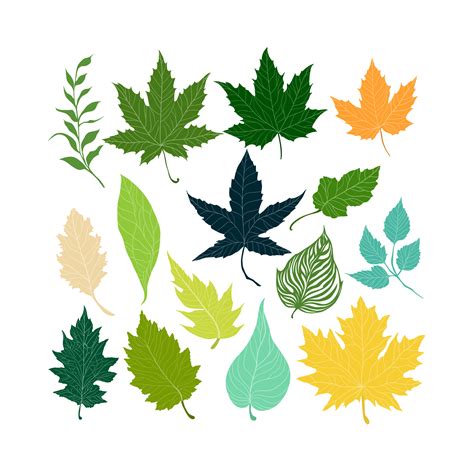 Illustration Of Biology And Plant Kingdom Set Of Leaf Margins The