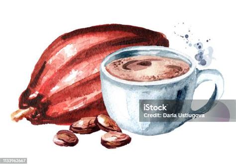 코코아 포드와 콩을 사용한 천연 코코아 음료 수채화 손으로 그린 그림 흰색 배경에 고립 수채화에 대한 스톡 벡터 아트 및 기타 이미지 수채화 열 개념 코코아 가루