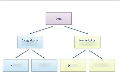 Hypothesis Testing And Statistical Tests Diagram Quizlet