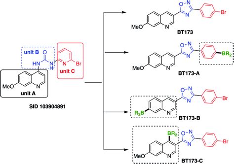 Structure Of Designed And Targeted New Class Of Hipk2 Inhibitors Download Scientific Diagram