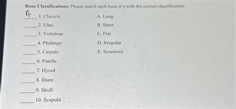 Solved Bone Classifications Please Match Each Bone It S