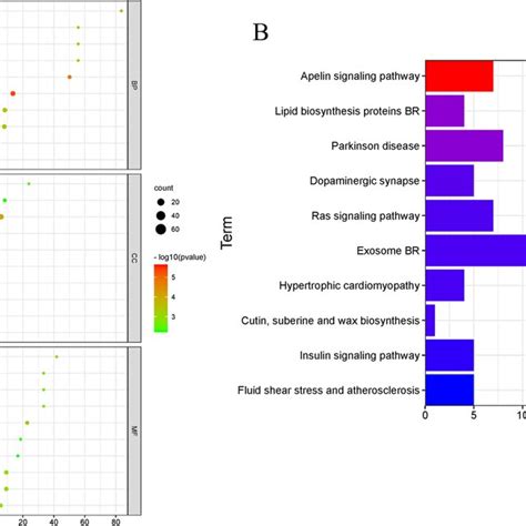 Function Enrichment Analysis A Go Enrichment Evaluation Of Shared