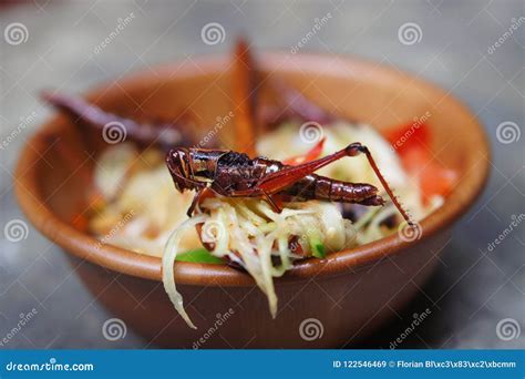Thai Papaya Salad With A Grasshopper Stock Image Image Of Futurefood