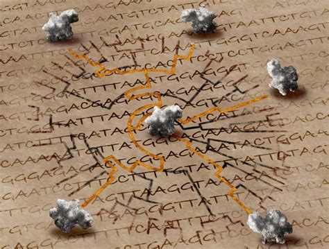 La Estructura De Las Proteínas Revela La Historia De La Evolución