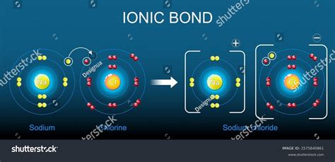 Ionic Bond Structure Formation Nacl Cation Stock Vector Royalty Free 2575640861 Shutterstock