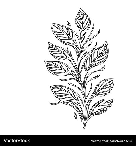 Delphinium Flower Plant Sketch Outline Royalty Free Vector