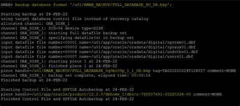 Rman Full Database Backup Script