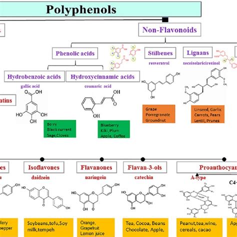 Classification Chemical Structure And Main Sources Of Polyphenols Download Scientific Diagram