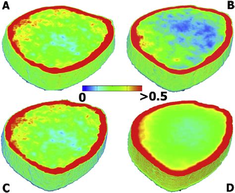 Cross Sections Of Voxel Wise Analyses A Representative Homogenized