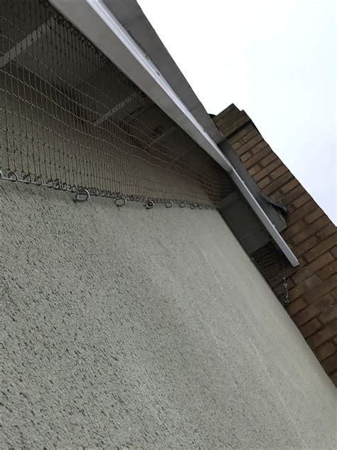 Bird Proofing Wirral Servos Exterior Cleaning