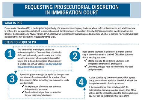 Requesting Prosecutorial Discretion