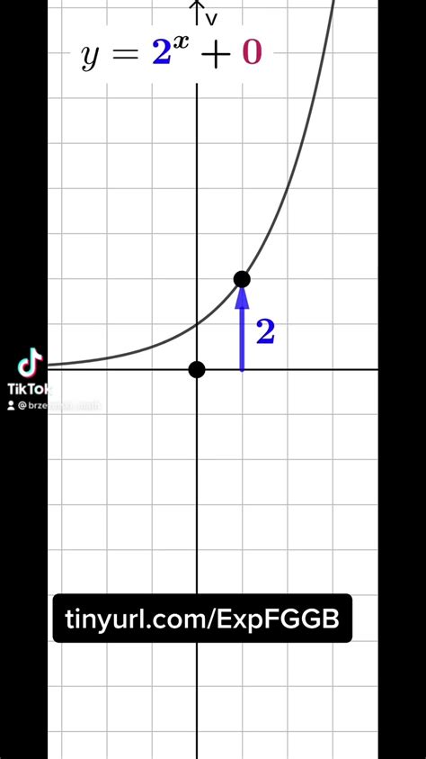 Exponential Function Graph — Quick Anatomy And Exploration M V8c8xjrc