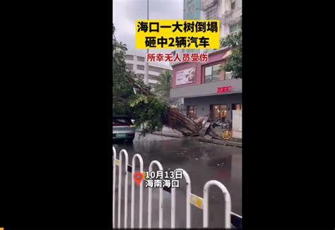 台风圆规登陆海南琼海 风有多大？网友实拍：伞被吹“骨折” 新闻频道 和讯网