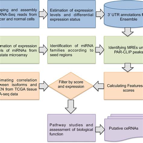 Data Processing Pipeline Figure Shows A Schematic Representation Of Download Scientific