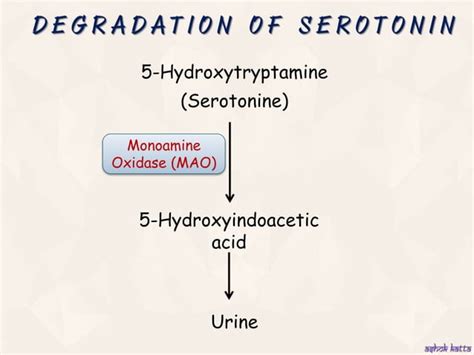 Metabolism Of Tryptophan And Its Disorders Ppsx