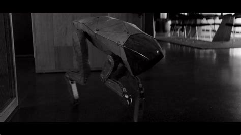 Jason Wu 👏🏻🏊‍♂️🍐🌷🌳🦮🏠🇺🇦 On Twitter Technik