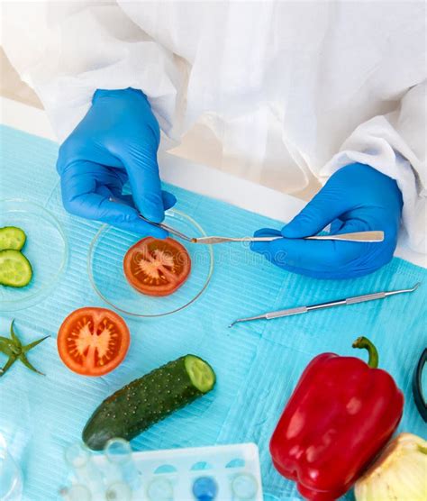 Laboratory Testing Of Different Food Products Selective Focus Stock Image Image Of Service
