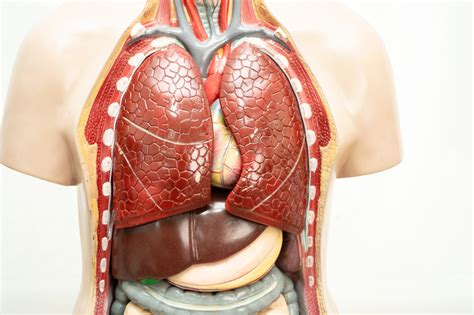 Open Pneumothorax Causes Diagnosis And Treatment