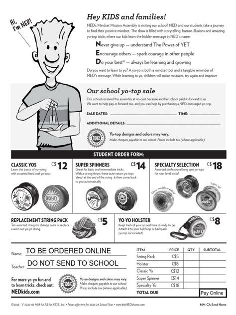 Ned Mission Mindset Yoyo Information Pdf Sports And Entertainment Skills