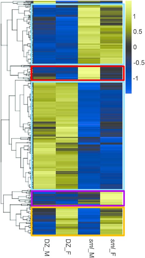 Hierarchical Clustering Graph Of Degs Hierarchical Clustering Graph Of
