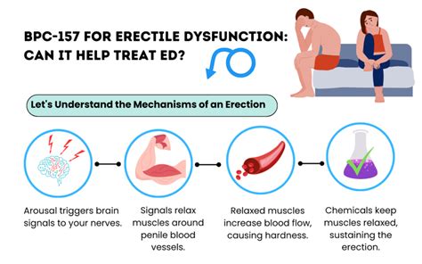 Bpc For Erectile Dysfunction Can It Help Treat Ed