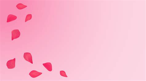 부드러운 핑크 그라데이션 배경에 고립 된 핑크 퍼플 플라잉 꽃잎 사쿠라 장미 꽃잎 벡터 0명에 대한 스톡 벡터 아트 및 기타 이미지 0명 건강한 식생활 계절 Istock