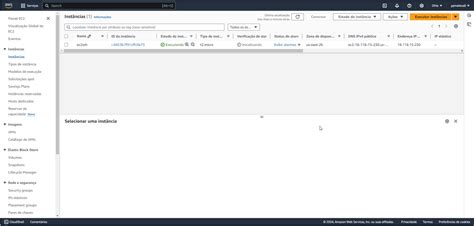 Ssh Session To Aws Ec2 Using Pem Key Through Senhasegura Pam Core