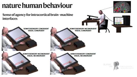 Sense Of Agency For Intracortical Brain Machine Interfaces Epfl