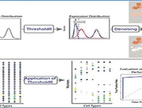 Scspace Reconstruction Of The Cell Pseudo Space From Single Cell Rna Sequencing Data Rna Seq