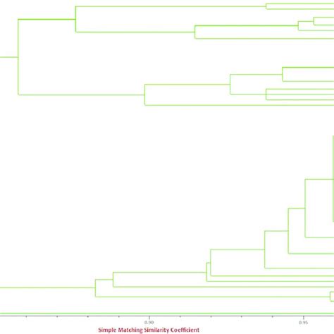 Similarity Dendrogram Based On Simple Matching Coefficient Of 59