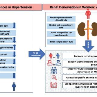 An Illustration That Summarizes Sex Related Differences In Hypertension Download Scientific