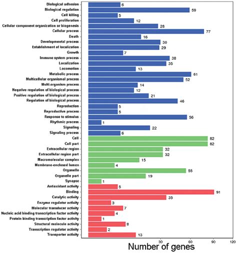 GO Functional Classification On DEGs The X Axis Represents The Number Download Scientific